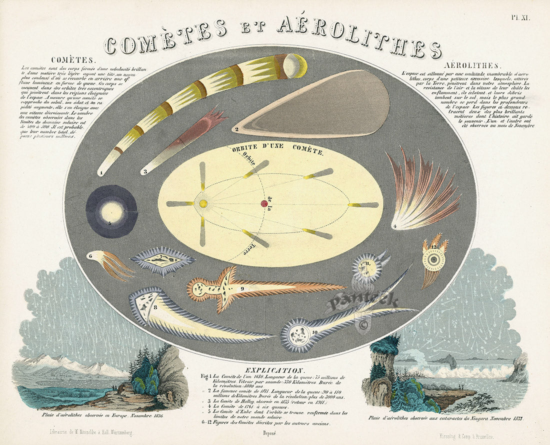 Celestial Atlas, Astronomy, Antique Print Comets & Meteorites | Panteek ...