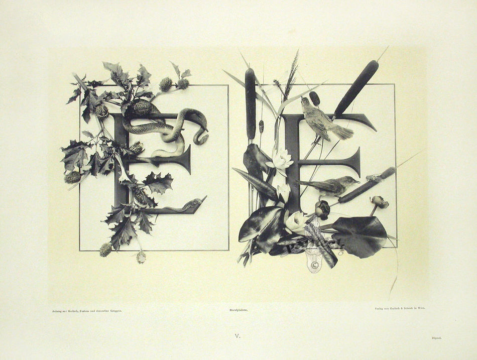Gerlach & Schenk Antique Alphabet Floral Letters E & F | Panteek ...