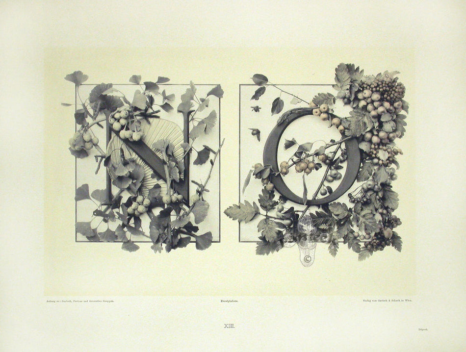 Gerlach & Schenk Antique Alphabet Floral Letters N & O | Panteek ...