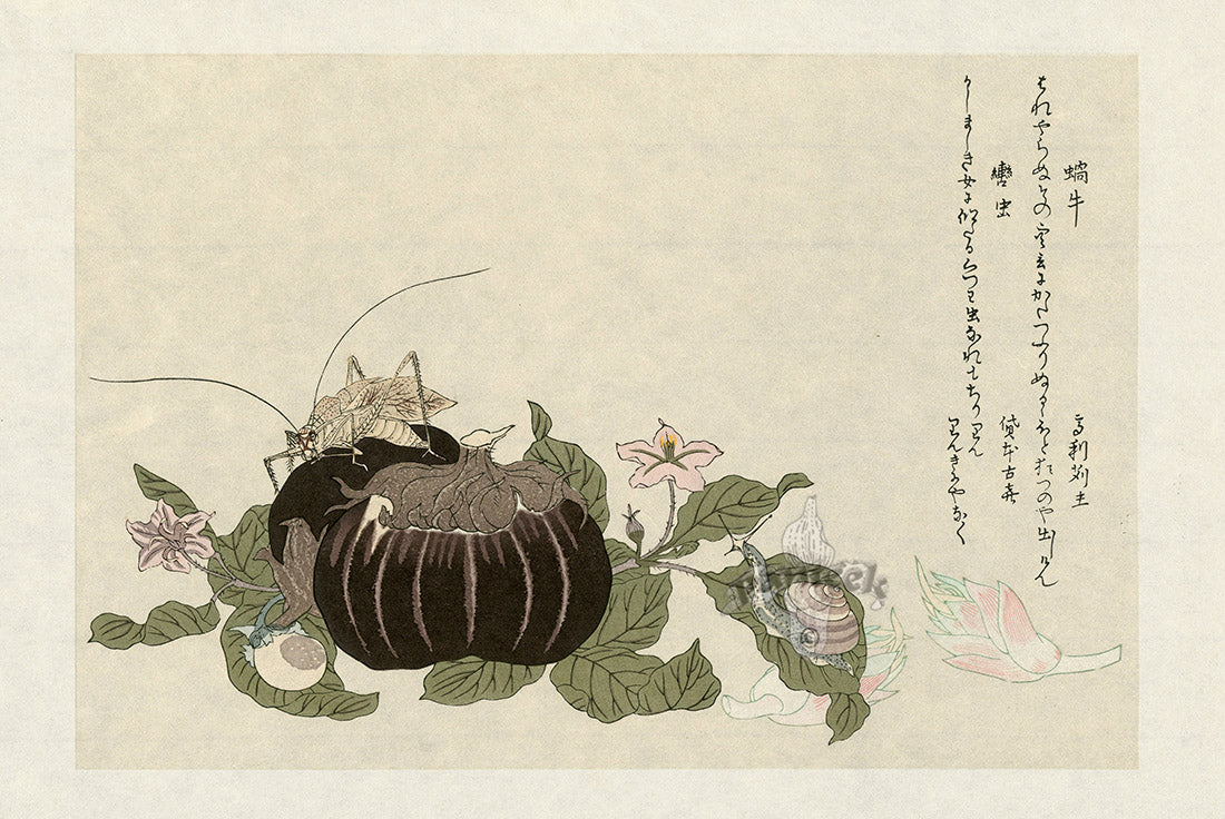 Kitagawa Utamaro Ehon Mushi Insects Giant Katydid | Panteek Antique Prints