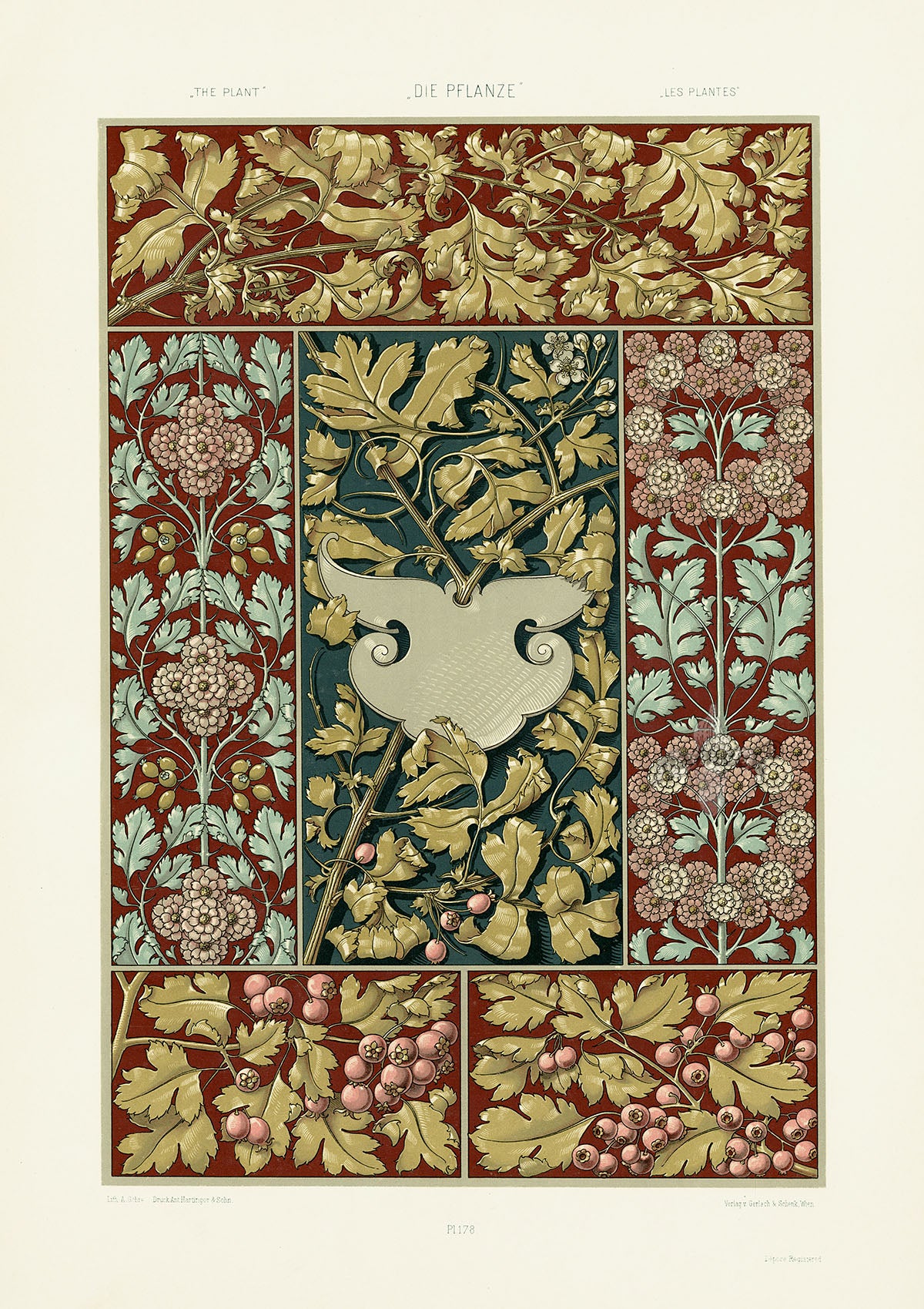 Seder The Plant in Art and Trade Print Flowers, Berries, Leaves