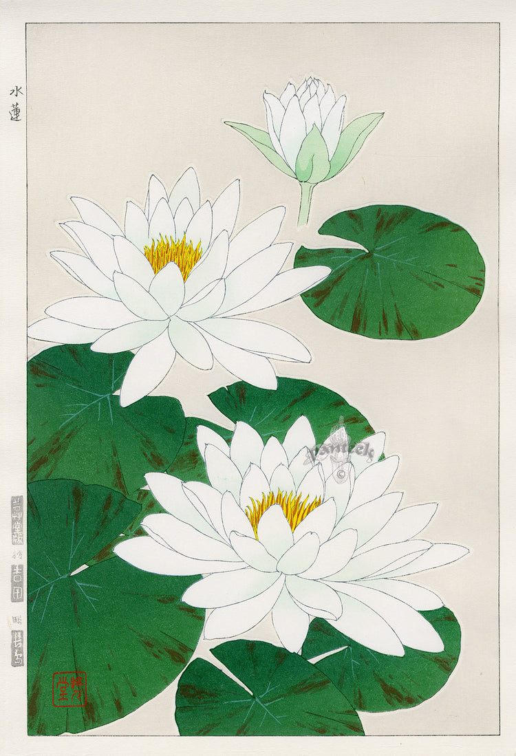 Shodo Kawarazaki Water Lily | Panteek Antique Prints